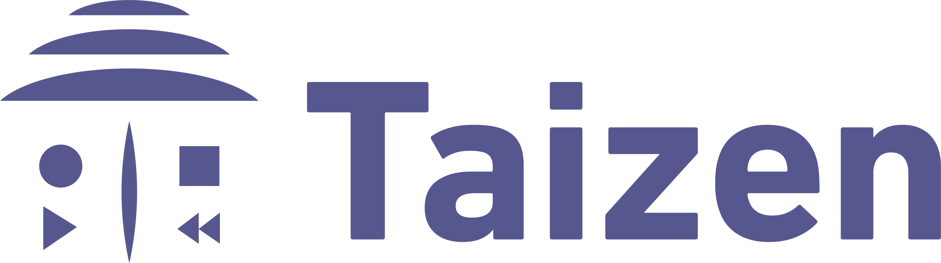 会社概要 | 株式会社Taizen